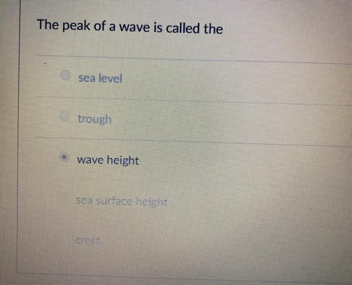 Solved The peak of a wave is called the sea level trough | Chegg.com