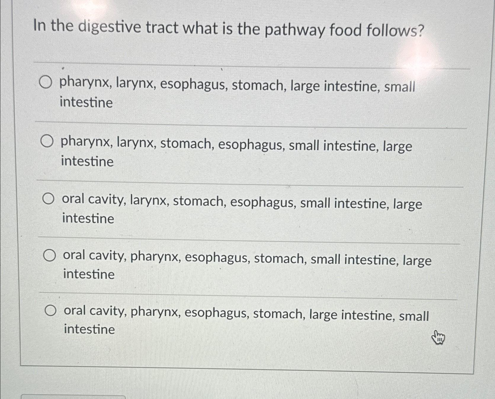 Solved In the digestive tract what is the pathway food | Chegg.com