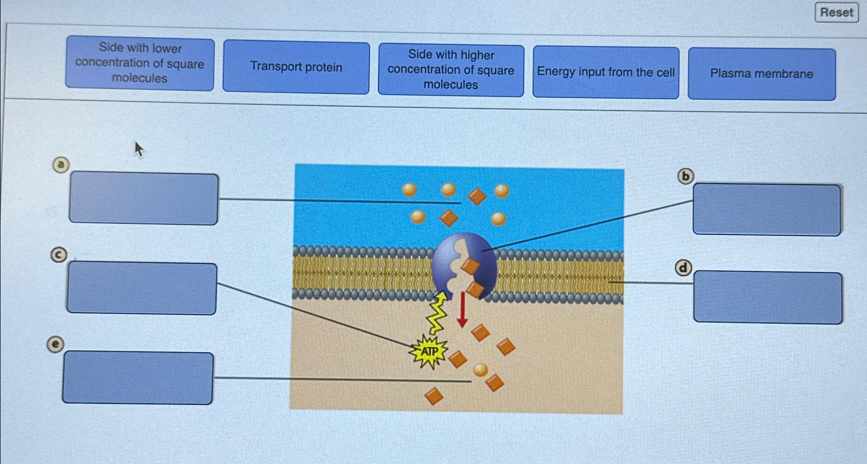 Solved Reset | Chegg.com