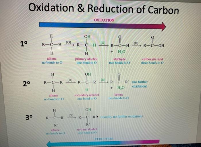 Solved Oxidation & Reduction of Carbon OXIDATION н OH 0 1° | Chegg.com