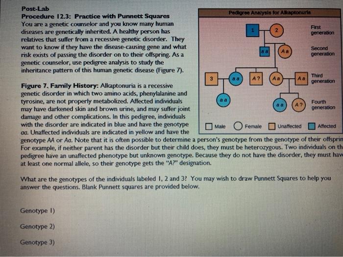 Solved la CELL ata Post-Lab Procedure 12.3: Practice with | Chegg.com