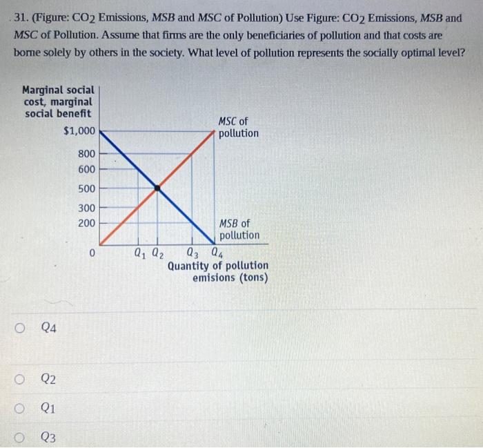 Solved 31. (Figure: CO2 Emissions, MSB and MSC of Pollution) | Chegg.com