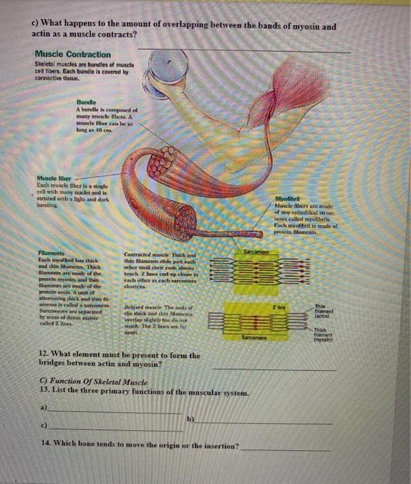 Solved please write with a good handing writing so I can | Chegg.com