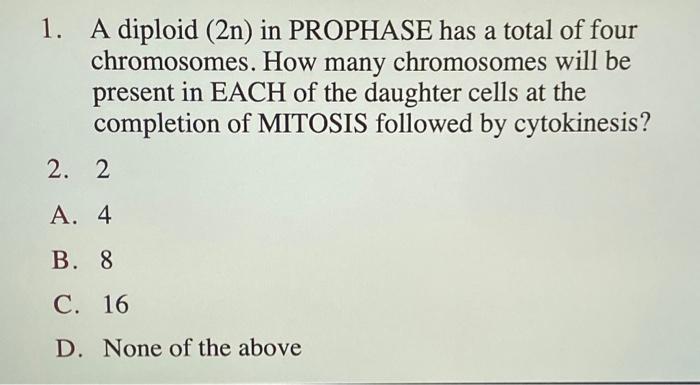 Solved 1. A diploid (2n) in PROPHASE has a total of four | Chegg.com