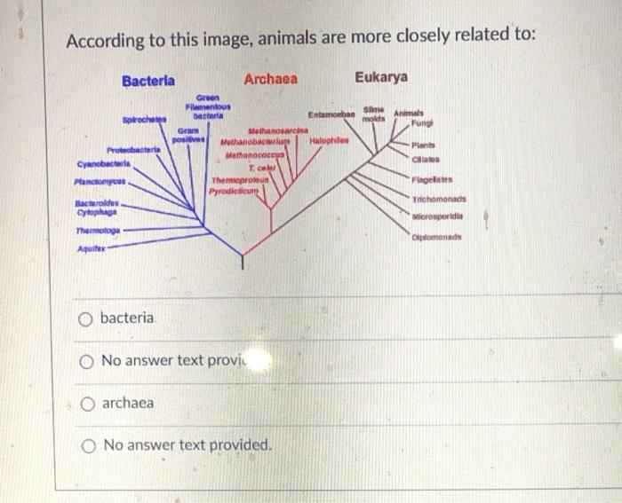 Solved According to this image, animals are more closely | Chegg.com
