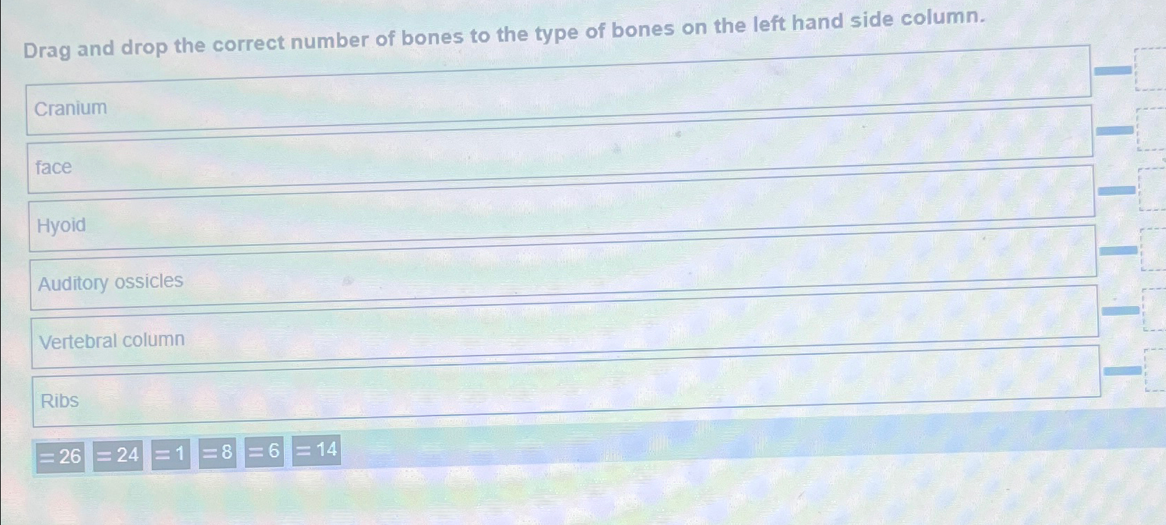 Solved Drag and drop the correct number of bones to the type | Chegg.com