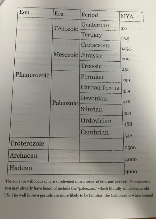 The eons we will focus on are subdivided into a | Chegg.com