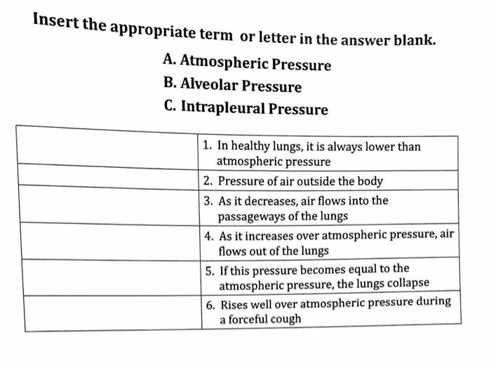 Solved Insert the appropriate term or letter in the answer | Chegg.com