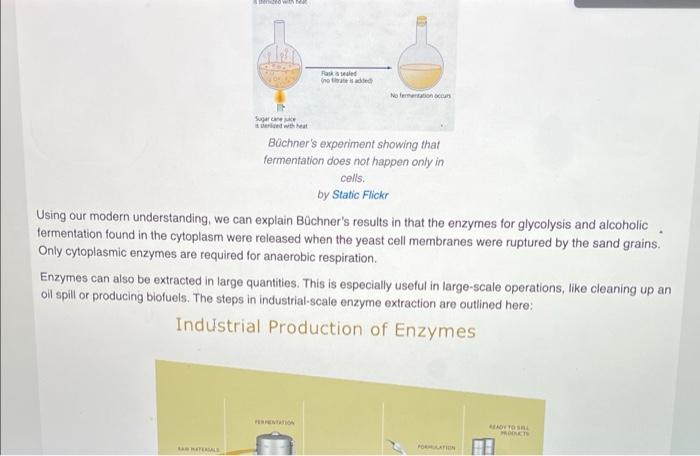 Solved changes 11. Compare Büchner's method of extracting | Chegg.com