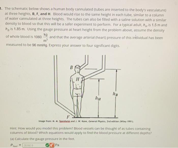 Solved The schematic below shows a human body cannulated | Chegg.com