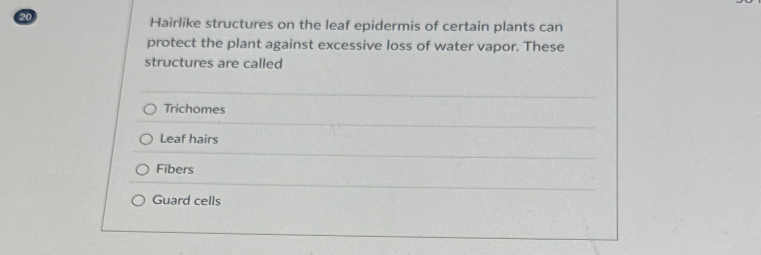 Solved 20Hairlike structures on the leaf epidermis of | Chegg.com