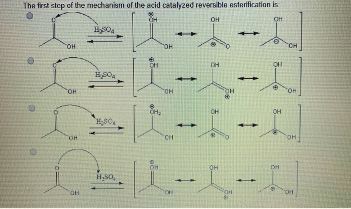 Solved The first step of the mechanism of the acid catalyzed | Chegg.com
