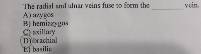Solved _vein. The radial and ulnar veins fuse to form the A) | Chegg.com