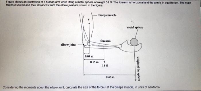 Solved Figure shows an illustration of a human arm while | Chegg.com