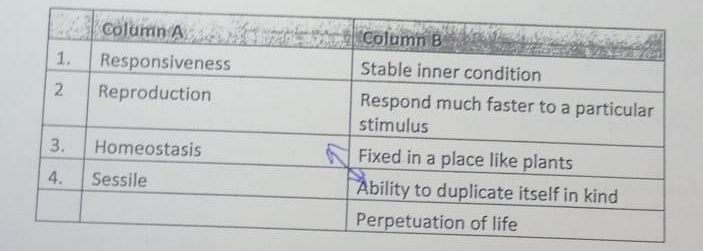 Solved Match the characteristics of living organisms in | Chegg.com
