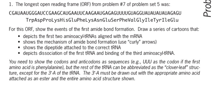 Solved Prob 1. The longest open reading frame (ORF) from | Chegg.com