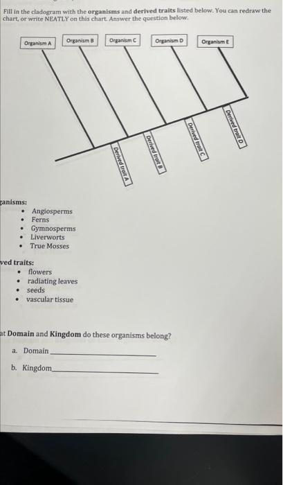Solved Fill in the cladogram with the organisms and derived | Chegg.com