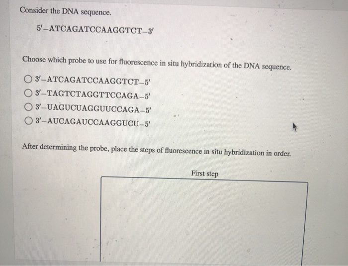 Solved Consider the DNA sequence. 5'-ATCAGATCCAAGGTCT-3' | Chegg.com
