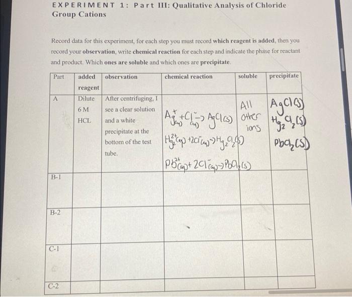 Solved I need help with my lab report on qualitative | Chegg.com