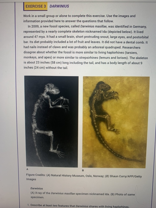 Solved EXERCISE 3 DARWINIUS Work in a small group or alone | Chegg.com