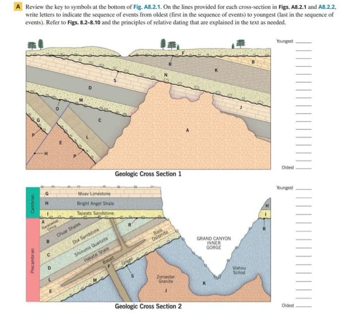 Solved Review the key to symbols at the bottom of Fig. | Chegg.com