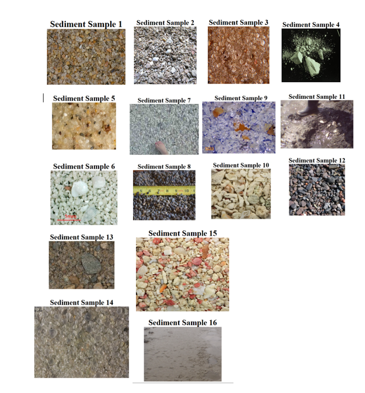 Solved PART I1. ﻿ Identify the TEN(10) ﻿TERRIGENOUS | Chegg.com