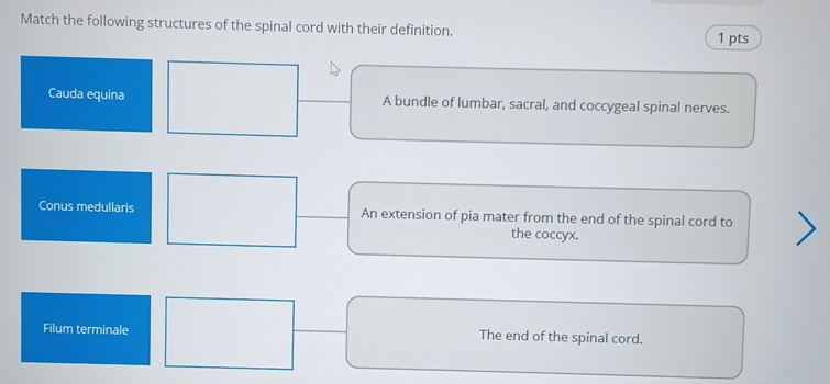 Solved Match the following structures of the spinal cord | Chegg.com