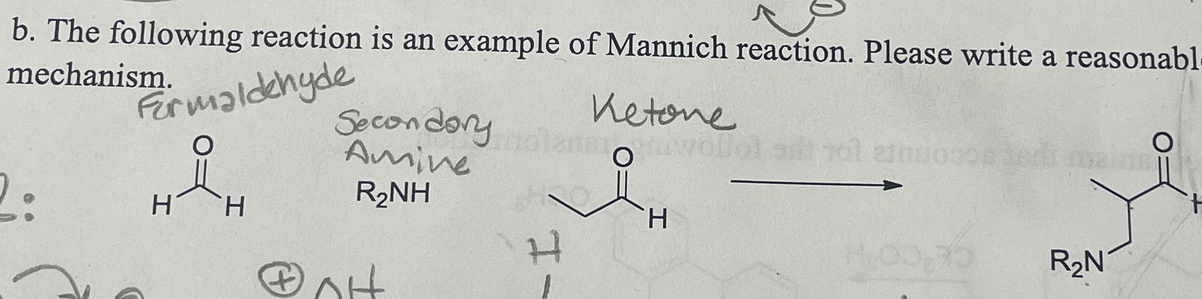 Solved b. ﻿The following reaction is an example of Mannich | Chegg.com