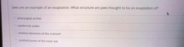 Solved Jaws are an example of an exaptation. What structure | Chegg.com