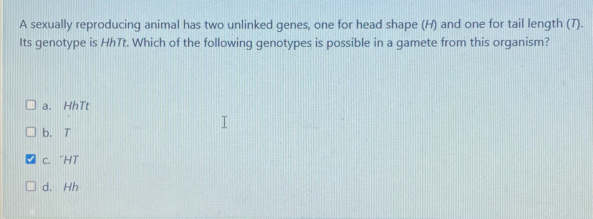 Solved A sexually reproducing animal has two unlinked genes, | Chegg.com