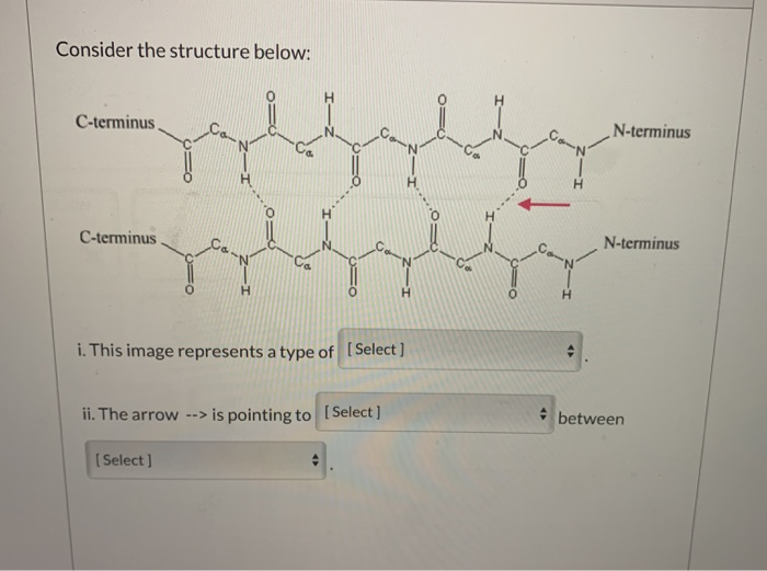 Solved Consider the structure below: IM C-terminus | Chegg.com