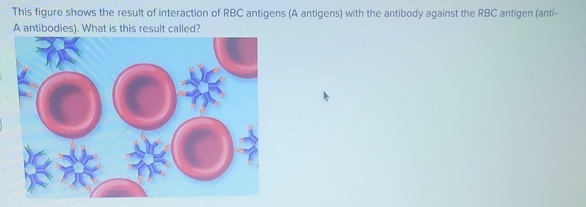 Solved This figure shows the result of interaction of RBC | Chegg.com