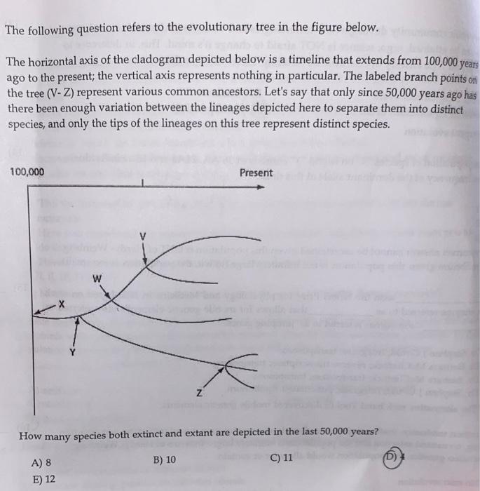 Solved The following question refers to the evolutionary | Chegg.com
