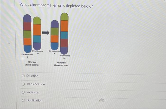 Solved What chromosomal error is depicted below?A) Deletion | Chegg.com