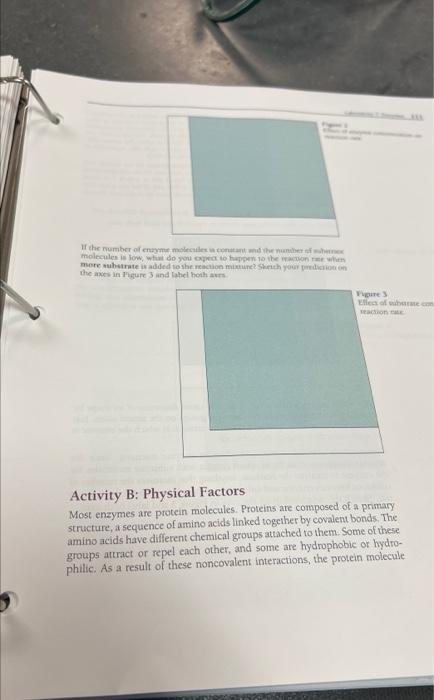 Solved Activity B: Physical Factors Most enzymes are protein | Chegg.com