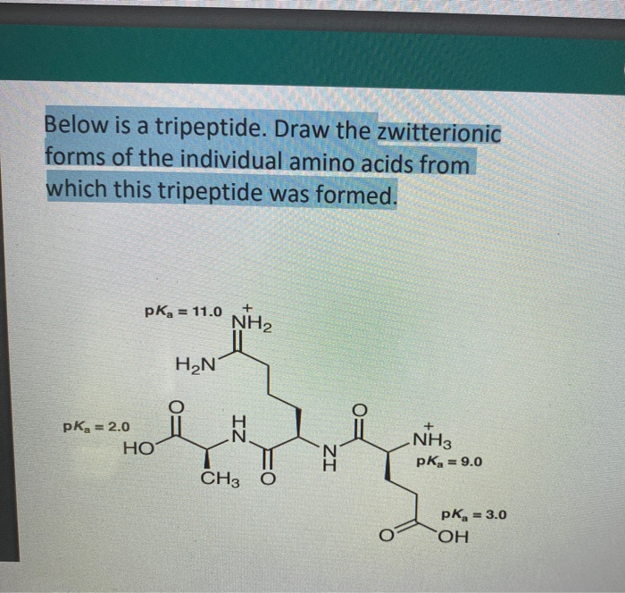 Solved Below is a tripeptide. Draw the zwitterionic forms of | Chegg.com