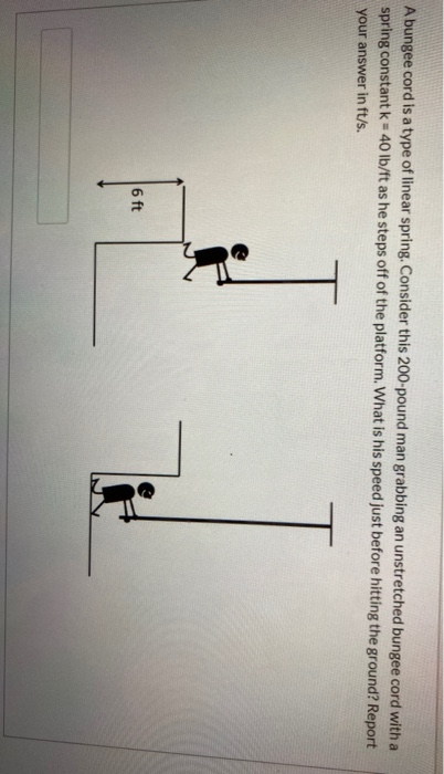 Solved A bungee cord is a type of linear spring. Consider | Chegg.com