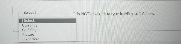 is NOT a valid data type in Microsoft | Chegg.com