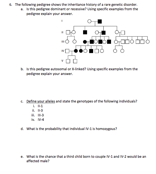Solved Two phenotypically normal people marry and produce a | Chegg.com