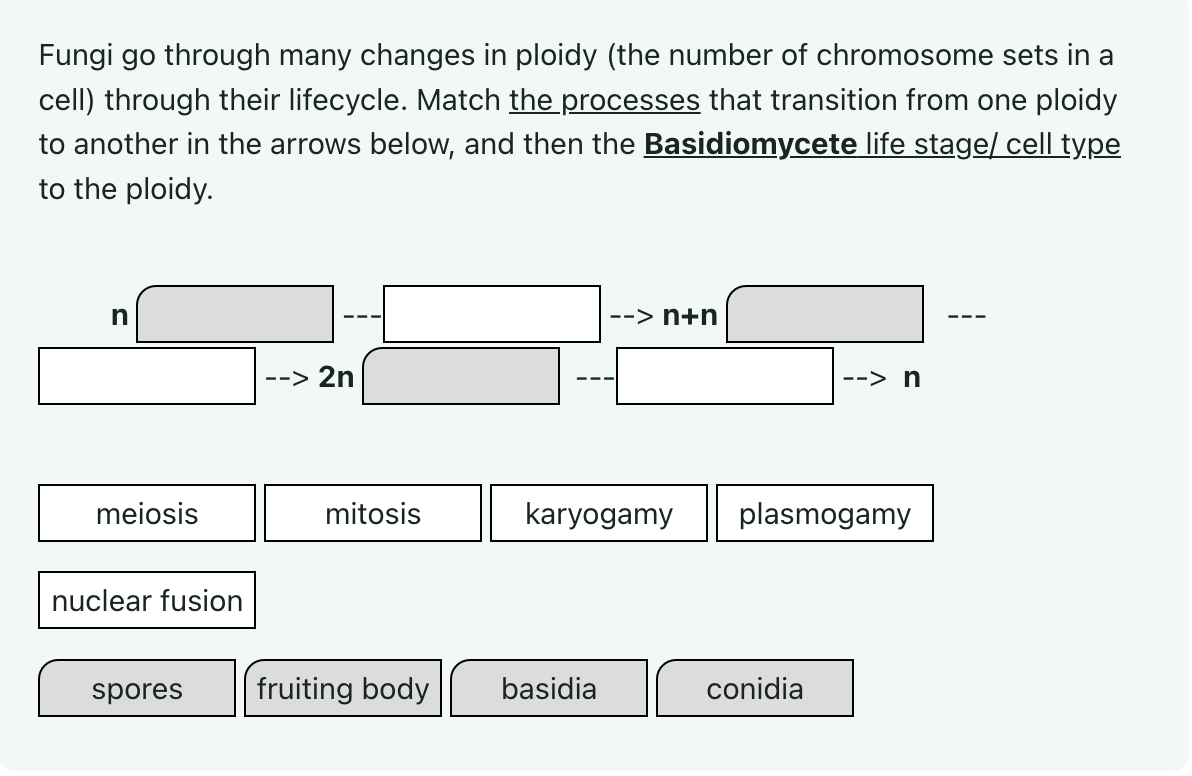 Solved Fungi go through many changes in ploidy (the number | Chegg.com