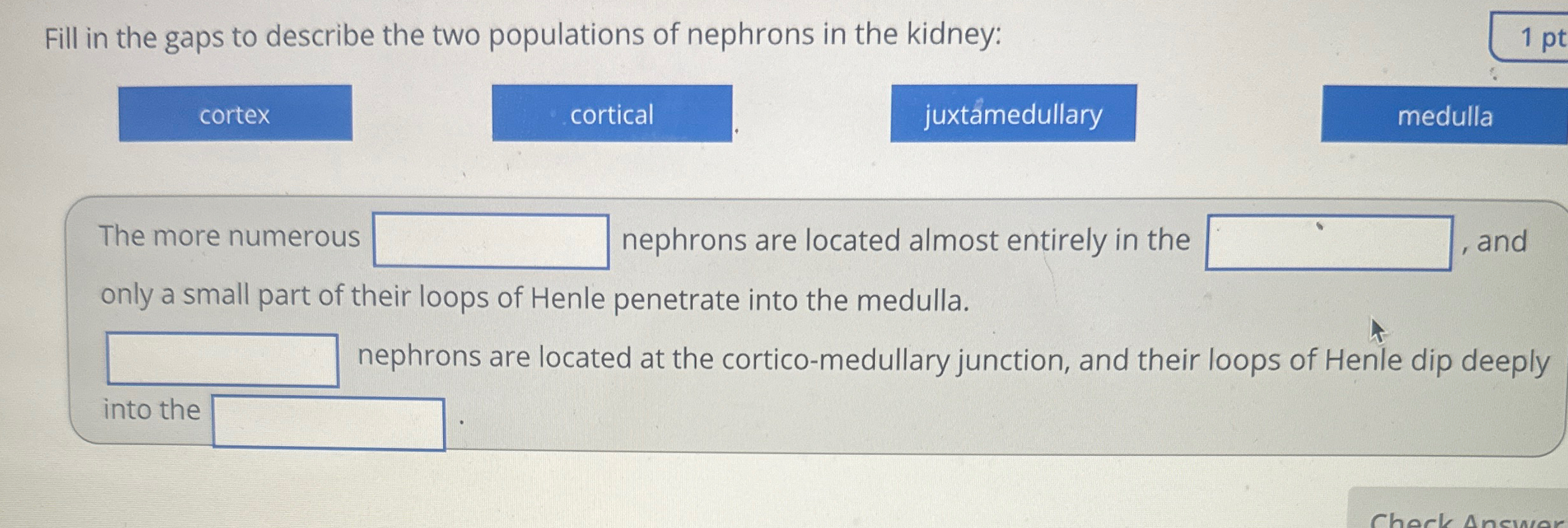 Solved Fill in the gaps to describe the two populations of | Chegg.com