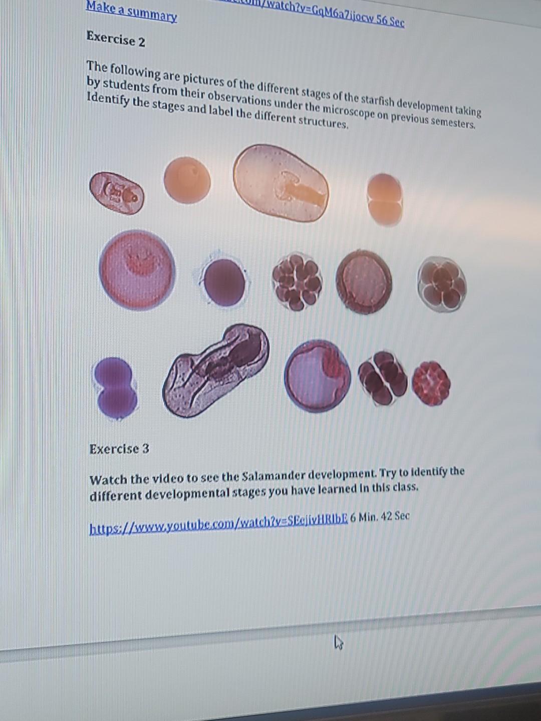 Frimal Kingdom Animal is a multicellular organism, | Chegg.com