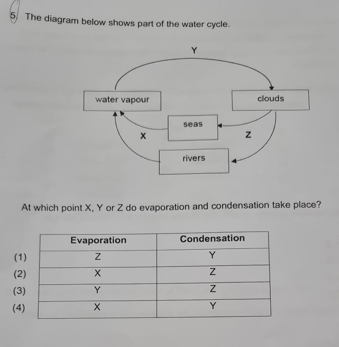 Solved 5. The diagram below shows part of the water cycle. | Chegg.com