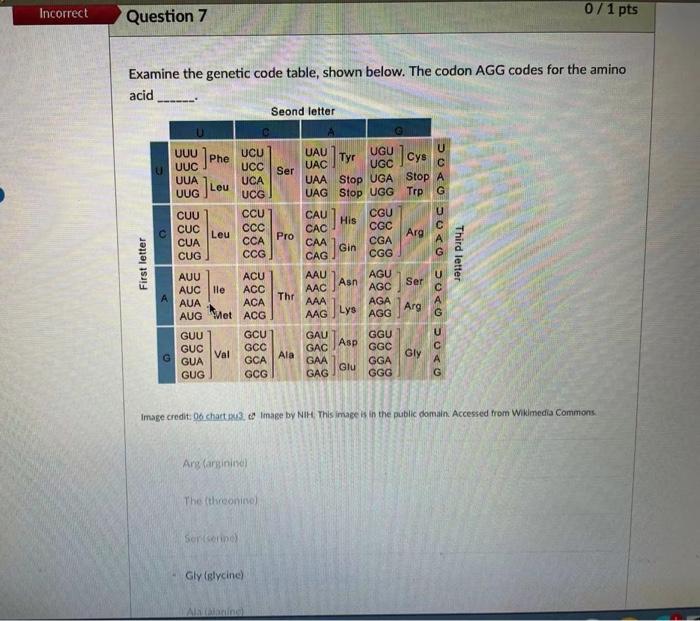 Solved Incorrect 071 Pts Question 7 Examine The Genetic Code 