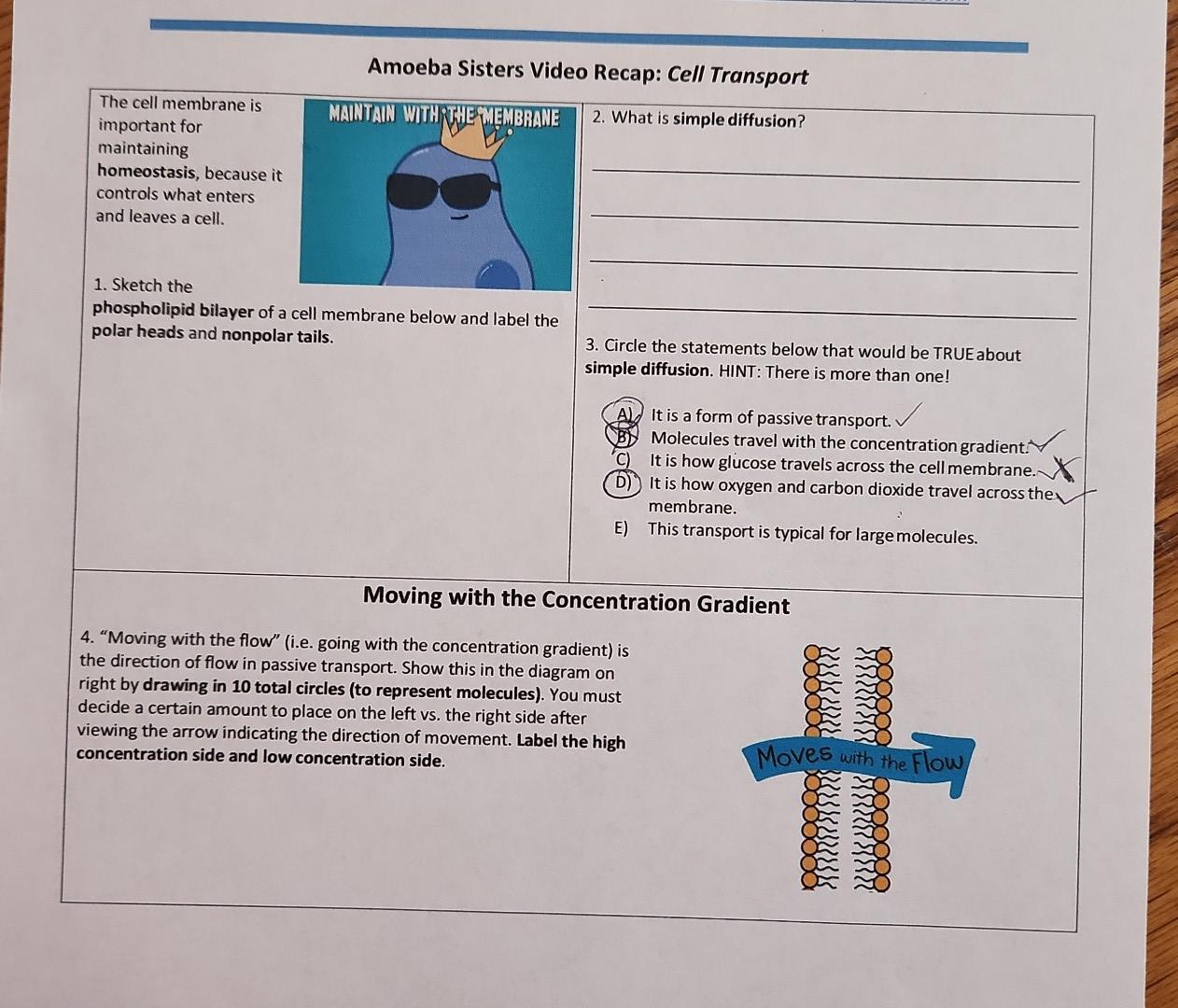 Solved Amoeba Sisters Video Recap: Cell Transport 4. "Moving | Chegg.com