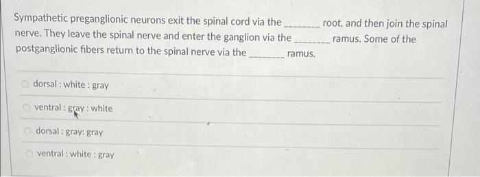 Solved Sympathetic preganglionic neurons exit the spinal | Chegg.com