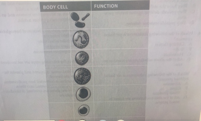 Solved BODY CELL FUNCTION | Chegg.com
