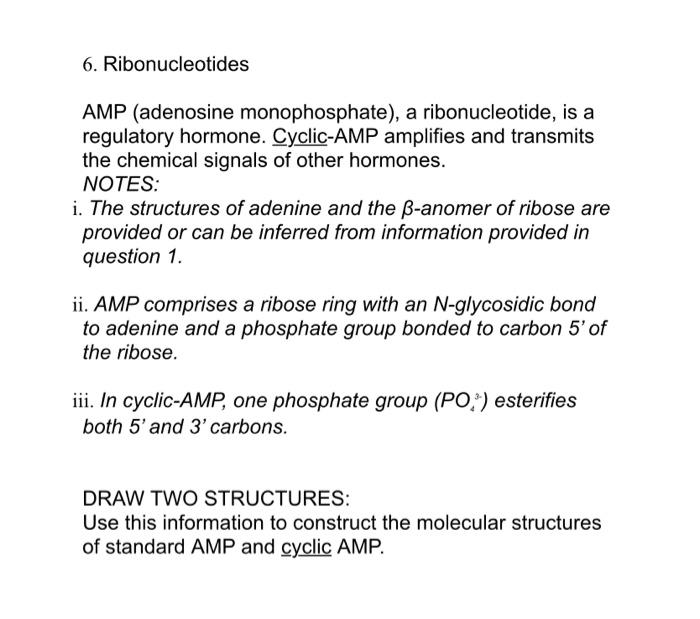 Solved 6. Ribonucleotides AMP (adenosine monophosphate), a | Chegg.com