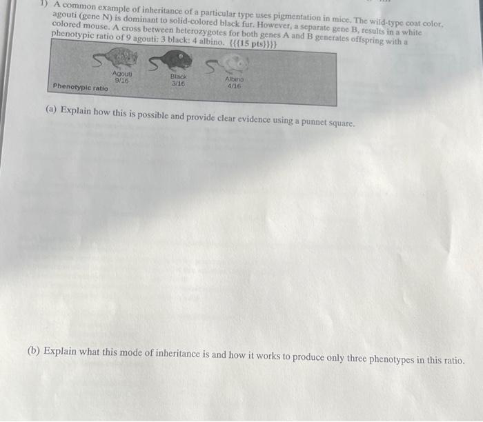 Solved A common example of inheritance of a particular type | Chegg.com