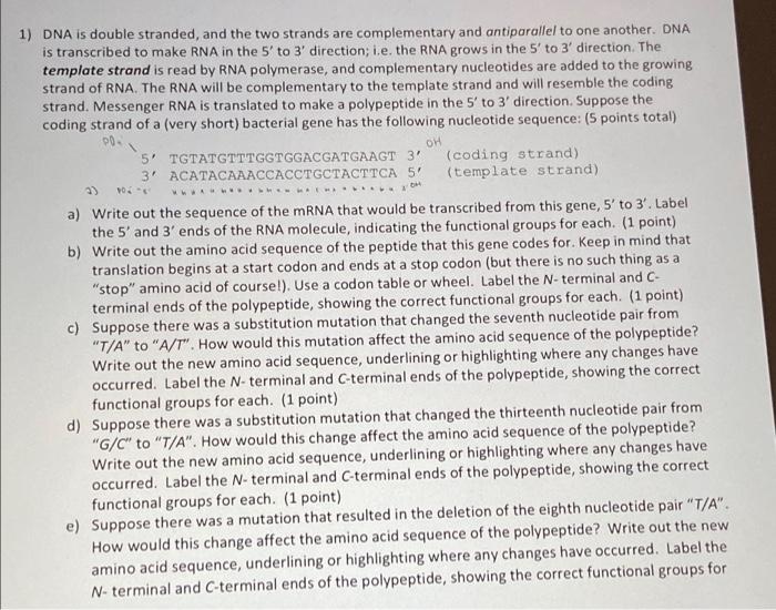 Solved DNA is double stranded, and the two strands are | Chegg.com